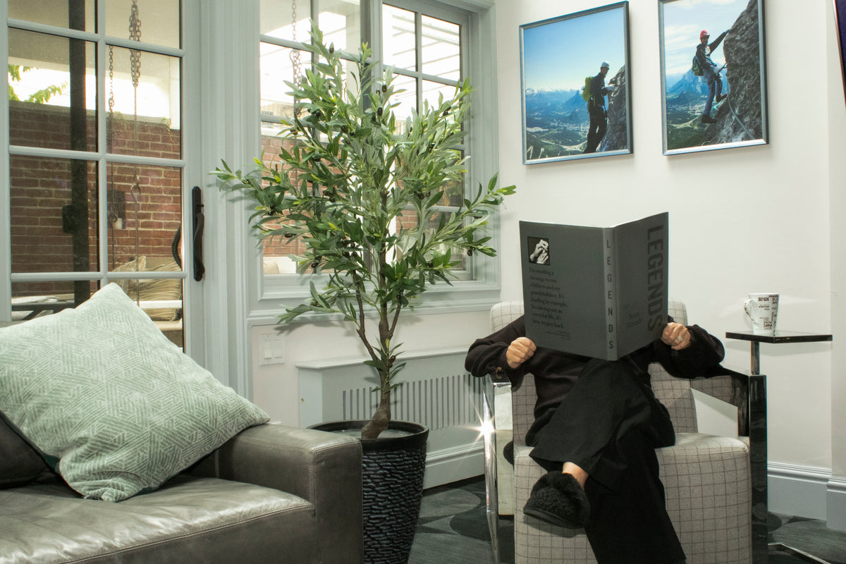 Planters and what you need to know about them