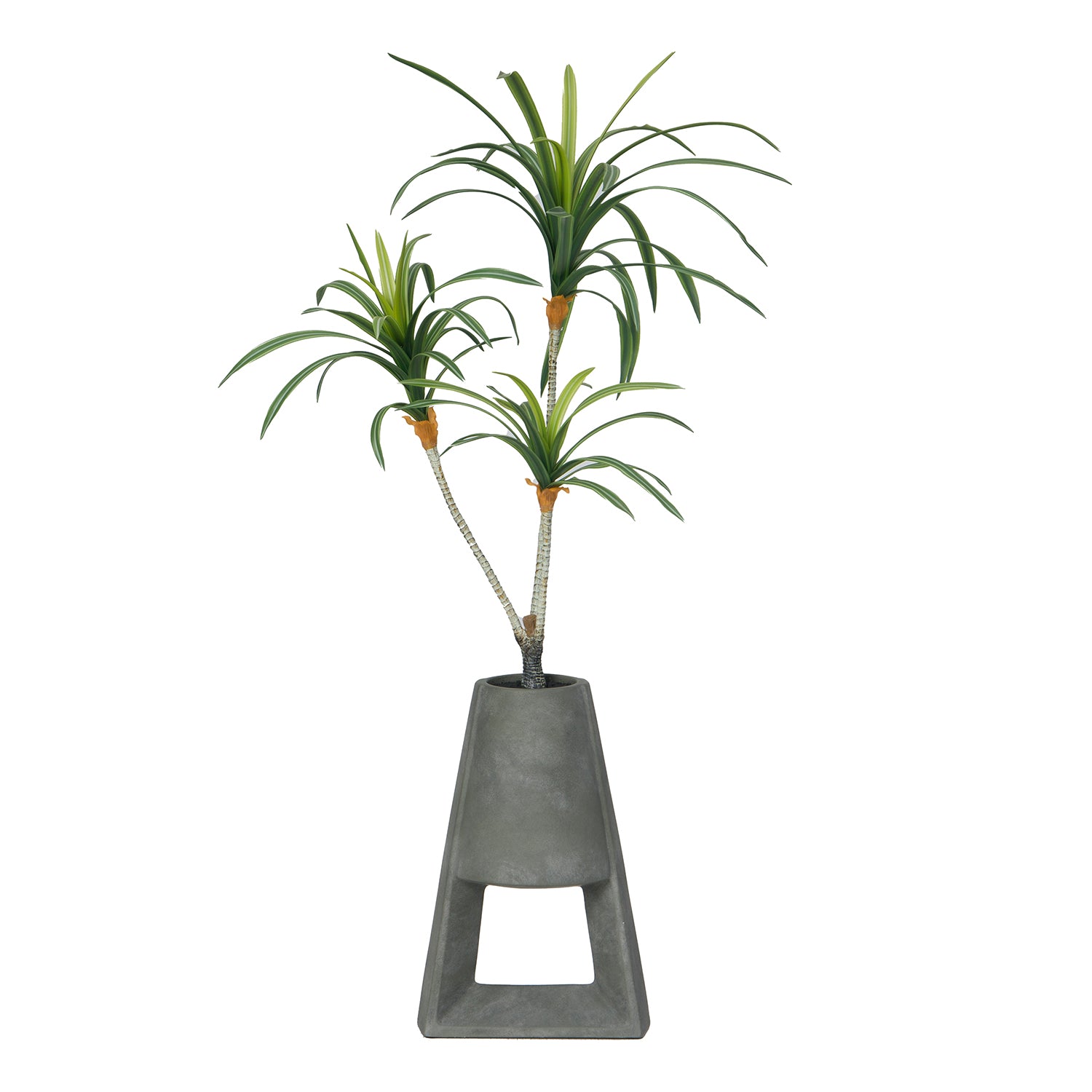 38" Real Touch Artificial Dracaena in Modern planter - Cute dragon tre