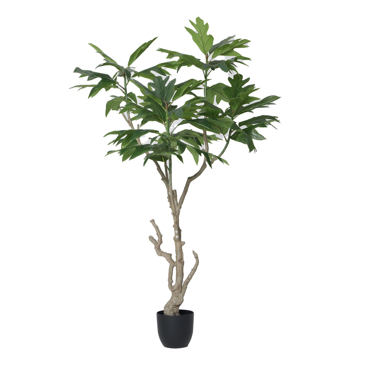 70" Vintage Real Touch artificial Breadfruit Tree in a black pot- Perf